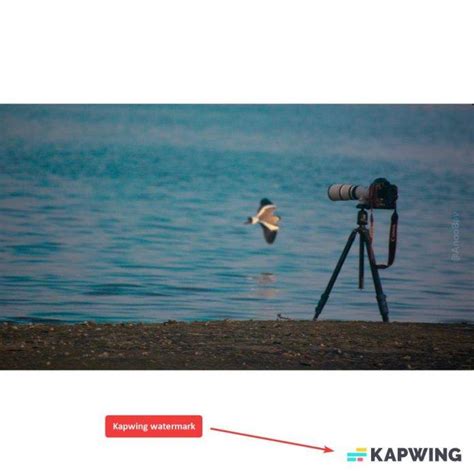 4 ways to make photo square without cropping mrnoob
