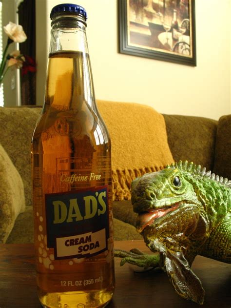 Dads Cream Soda —