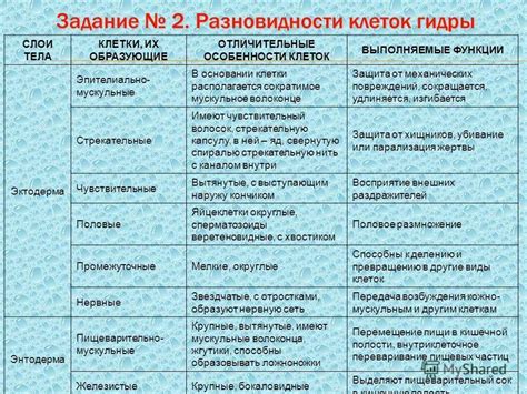 Таблица строение и функции органоидов клетки таблица с рисунками