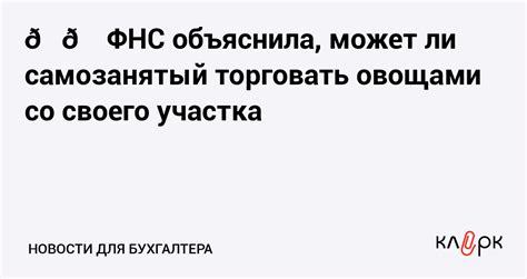 🍅🍆 ФНС объяснила, может ли самозанятый торговать овощами со своего участка