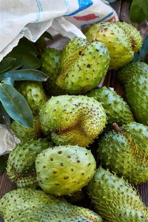 Soursop Leaf Tea Recipe Herbal Tea