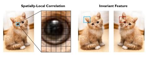 [dl] Convolution Neural Networks Cnn