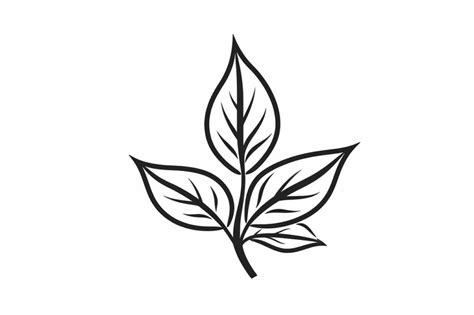 How To Draw A Leaf Yonderoo