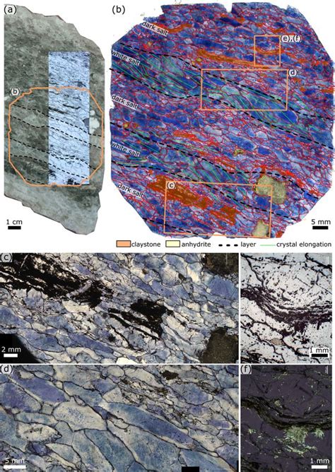 Rheological Stratification In Impure Rock Salt During Long Term Creep