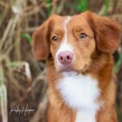 Stream Addison Harris Music Listen To Songs Albums Playlists For