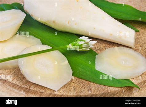 Parsnip Vegetabes And Fresh Herbs Stock Photo Alamy