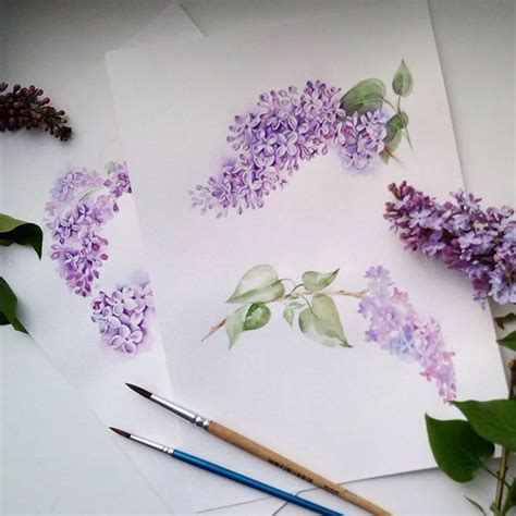 Как нарисовать сирень акварелью