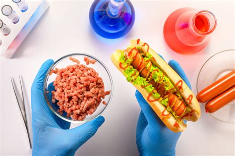 합성 육류 생산 실험실에서 적합성을 확인하기 위해 제품을 확인합니다 인공 고기는 미래의 음식입니다 시험 관 고기 고기에 대한 스톡 사진 및 기타 이미지 Istock