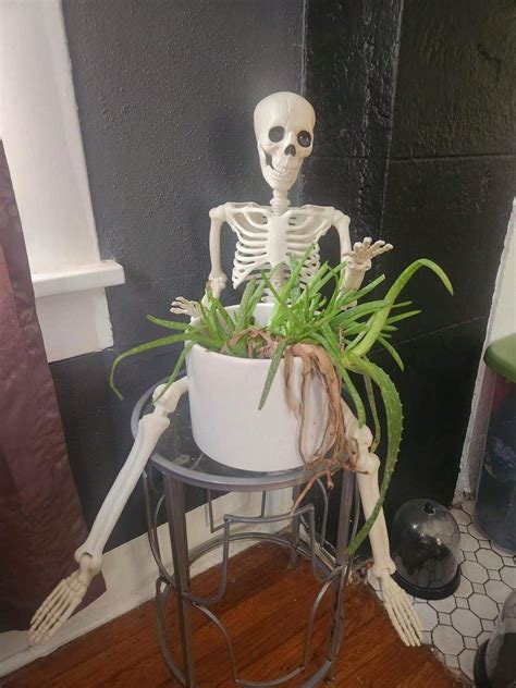 Halloween Skeleton Full Body Skeleton Life Size Human Bones Pose N