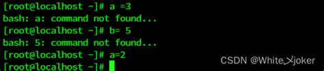 Linux之shell变量和引用shell 引用变量 Csdn博客