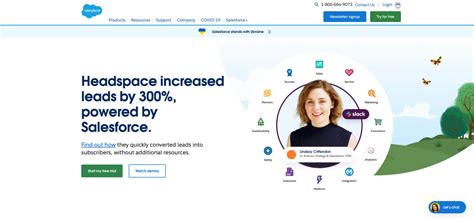 salesforce wordpress integration guide