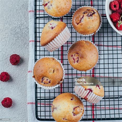 가벼운 콘크리트 배경에 냉각 금속 그릴에 베리 라즈베리 머핀 맨 위 보기 0명에 대한 스톡 사진 및 기타 이미지 0명 과일 금속 Istock