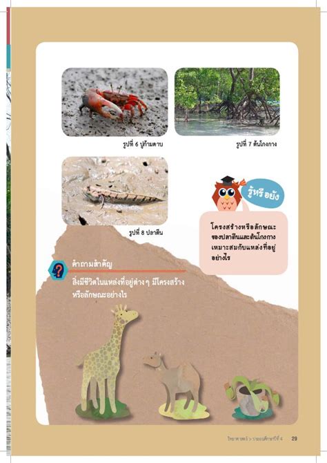 Ar Code วิทย์ ป 4 Illusion Thailand Co Ltd Illusions Coding U 8