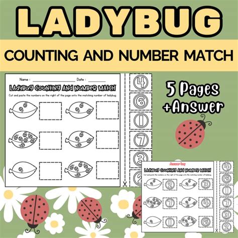 Ladybug Counting And Number Match Worksheets Black And White Cut