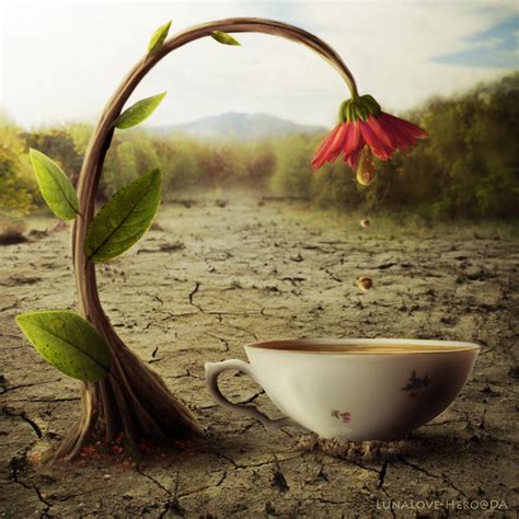 Прощение Fototalisman — Livejournal