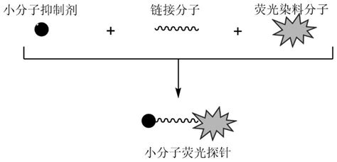 A Kind Of Fluorescent Probe Based On Small Molecule Inhibitor And Its Preparation Method And