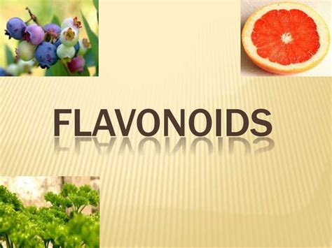 Flavanoids Pptx