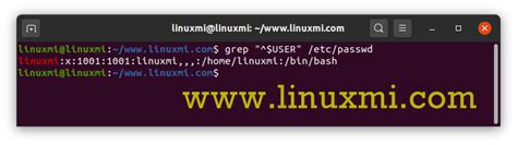 如何找出我在linux Unix上使用的shell？ Linux迷