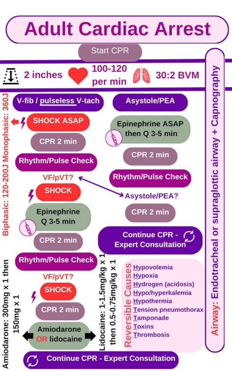 digital acls badge buddy updated digital file pdf for diy printing and