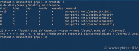 Understanding How To View Crontab A Comprehensive Guide