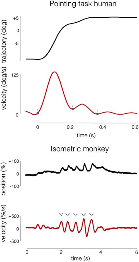 Pointing And Tracking Movements Are Characterized By Submovements Top Download Scientific