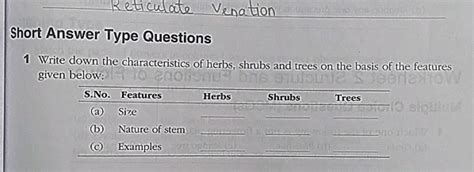 Reticulate Venation Short Answer Type Studyx