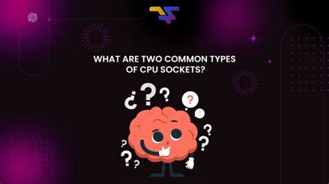 What Are Two Common Types Of Cpu Sockets Tech Schneider