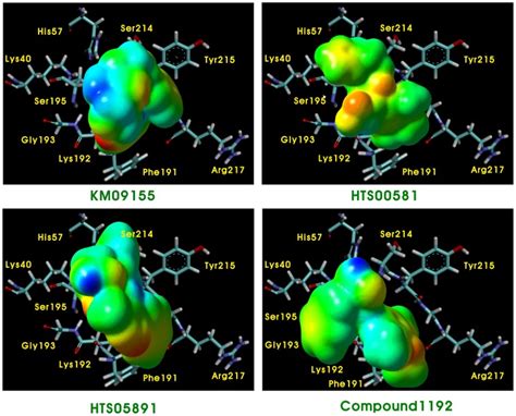 The Red And The Blue Color Represent The Electronegative And Download Scientific Diagram