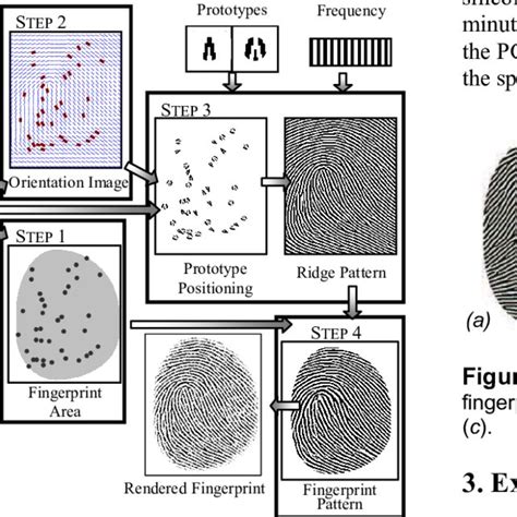 Fingerprint Image Reconstruction Process From The Minutiae Template Download Scientific Diagram