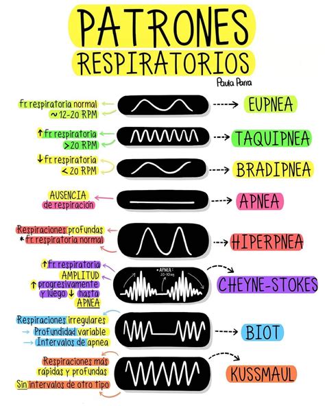 Sustancia P On Instagram “he Hecho Un Mini Esquema De Los Principales