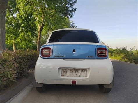 Gwm Ora Car Price Guangcaiauto