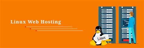 Linux Web Hosting Services In Hyderabad