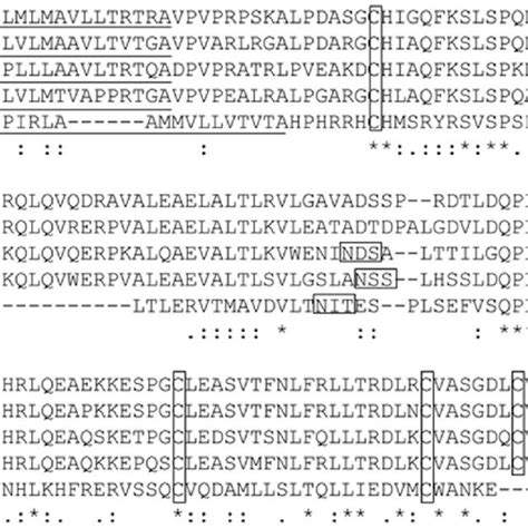 alignment of the tsifn l3 sequence with human mouse and frog ifn l3