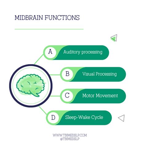 The Central Command Center Understanding The Function And Location Of