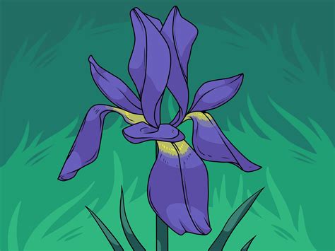 9 Easy Ways To Draw A Flower WikiHow
