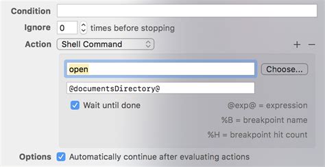 Use MacOS Open Command From XCode Shell Breakpoint Stack Overflow