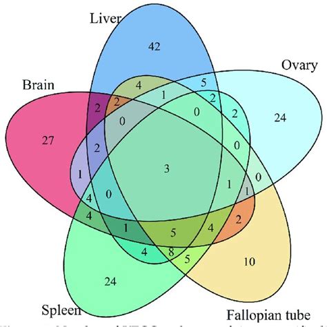 Number Of Kegg Pathways Of Tissue Specific Differentially Expressed