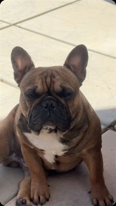 Video Posted By Ulises Sanchez Theulisessanchez