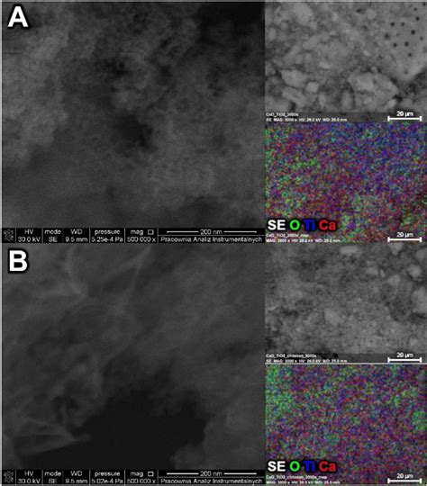 sem micrographs magnification 500 000× and sem eds elemental maps