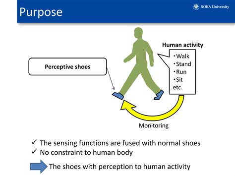 Gait Monitoring For Human Activity Recognition Using Perceptive Shoe
