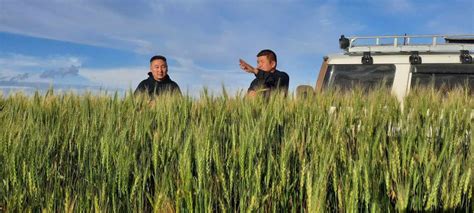 ДОРНОД Ургацын болц харилцан адилгүй байна Хүнсний хувьсгал