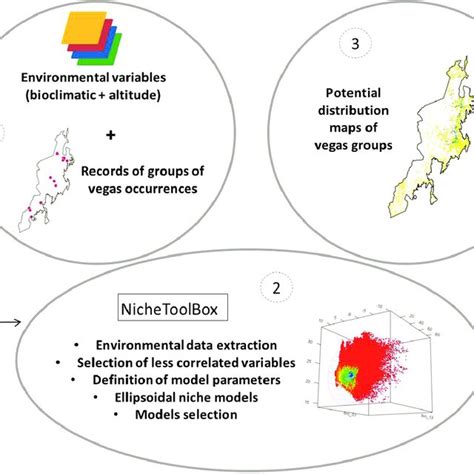 steps performed for ecological niche modeling and obtaining potential
