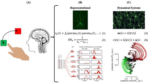 Representational And Dynamical Systems Accounts Of Motor Control A