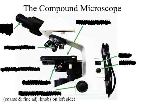 The Compound Microscope Part One Diagram Quizlet
