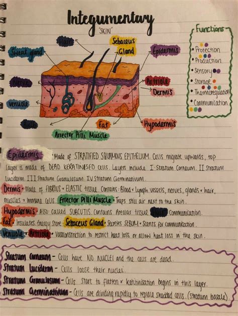 Rahul Rathod On Linkedin Allaboutintegumetrysystemawareness Cpt