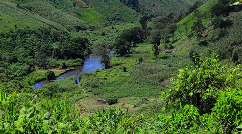 Protection Of Key Biodiversity Areas Kbas Uganda Bio Diversity