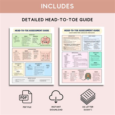 Head To Toe Assessment Guide For Nursing Student Head To Toe Template