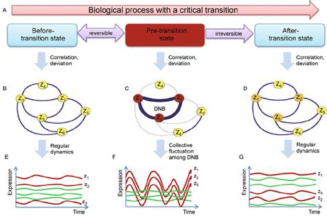 Dynamical Network Biomarkers A Schematic Illustration Of A Dynamical Download Scientific