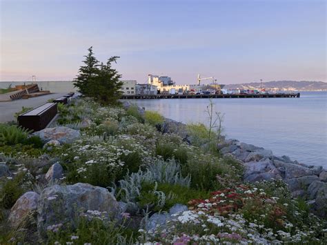 Mission Bay Bayfront Park — Surfacedesign Inc
