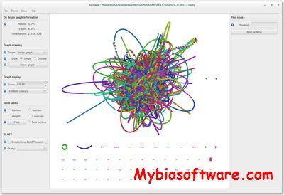 Bandage V Navigating De Novo Assembly Graphs Easily My Biosoftware Bioinformatics